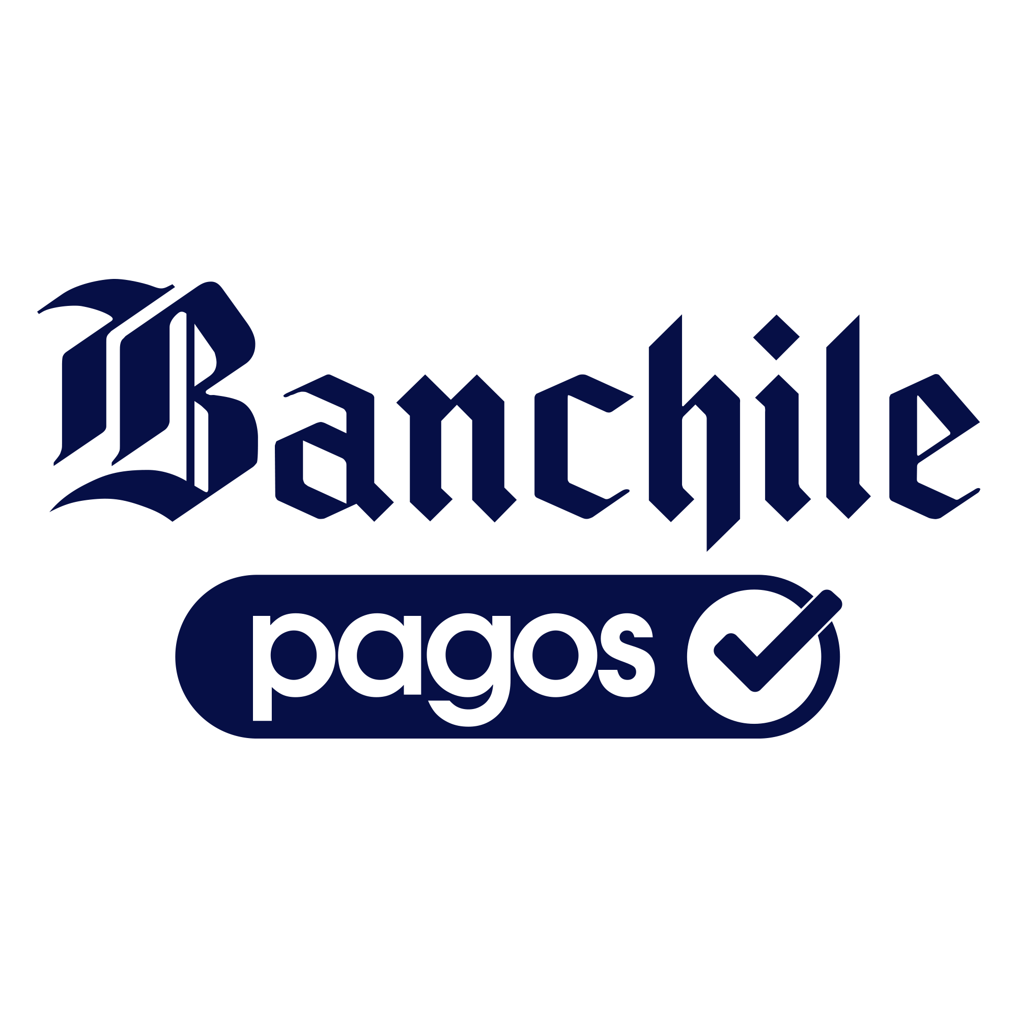 Líder Canales Ventas - Banchile Pagos - Trabaja en el Chile
